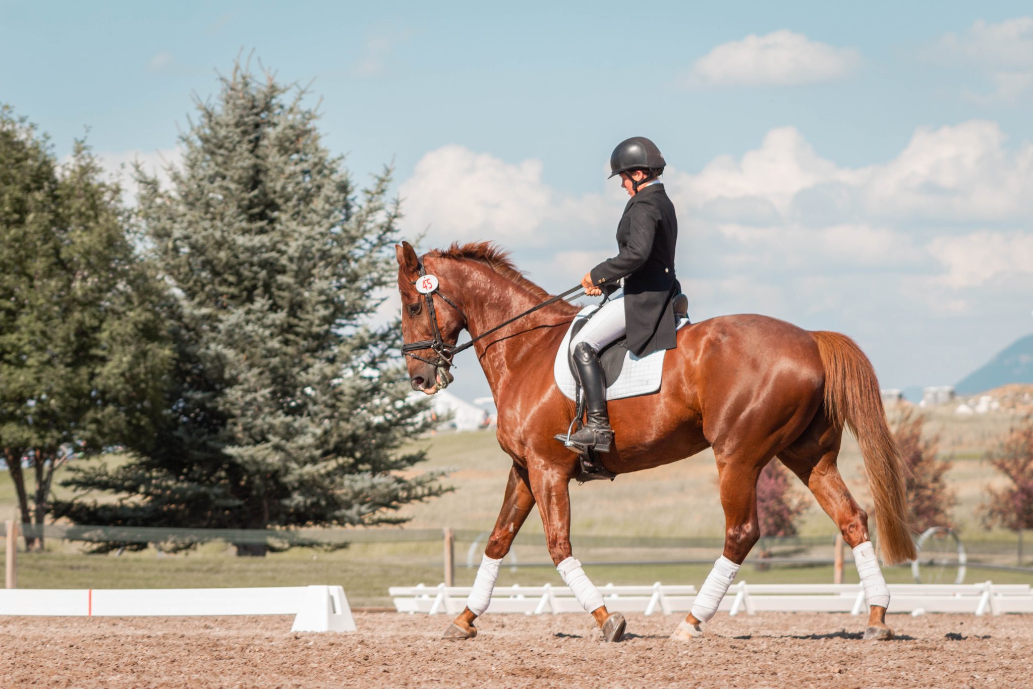 4 Ways To Improve Your Riding Skills As An Equestrian - Serendipity Mommy